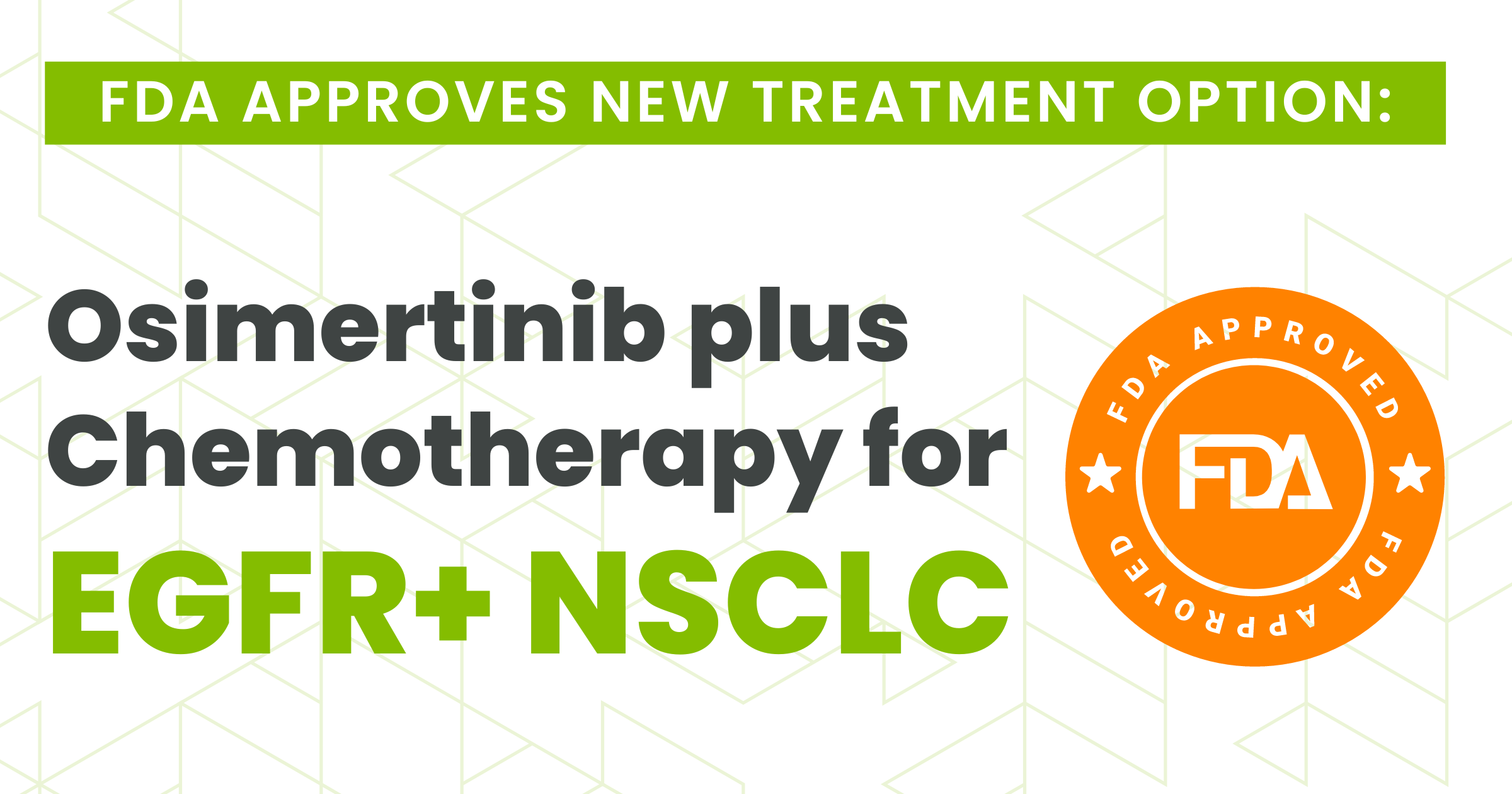 FDA Approves New Treatment Option: Osimertinib Plus Chemotherapy for ...